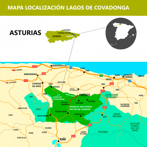 COMO LLEGAR - LAGOS DE COVADONGA